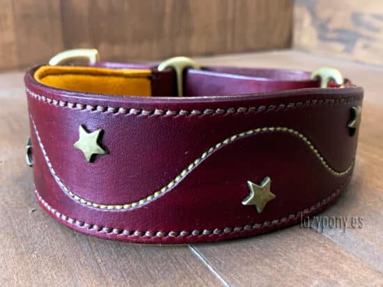Decorated martingale hound dog collar